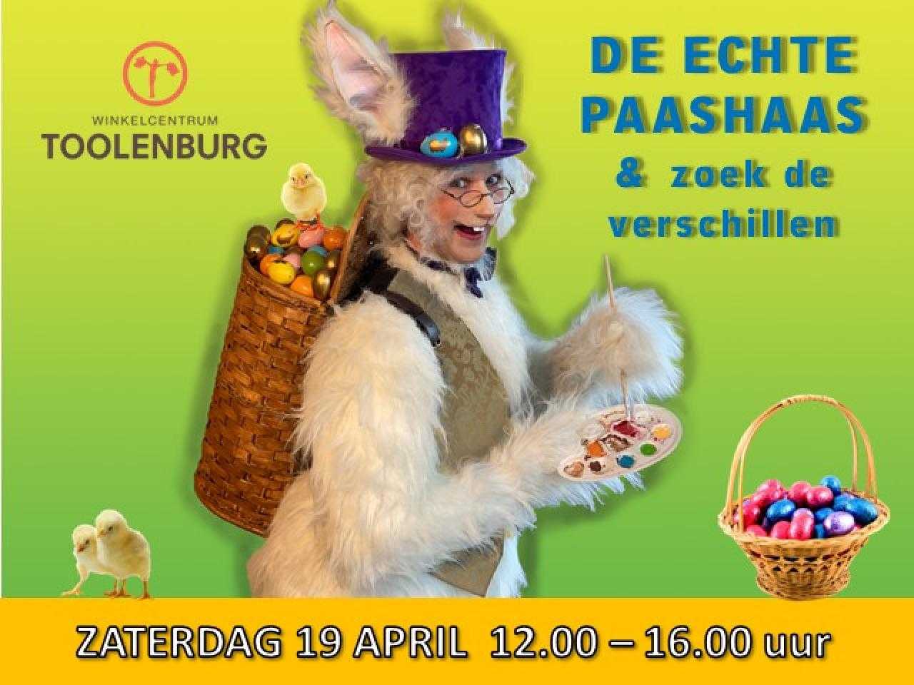 Echte Paashaas Paashaas & Kar Houtbewerkingssets