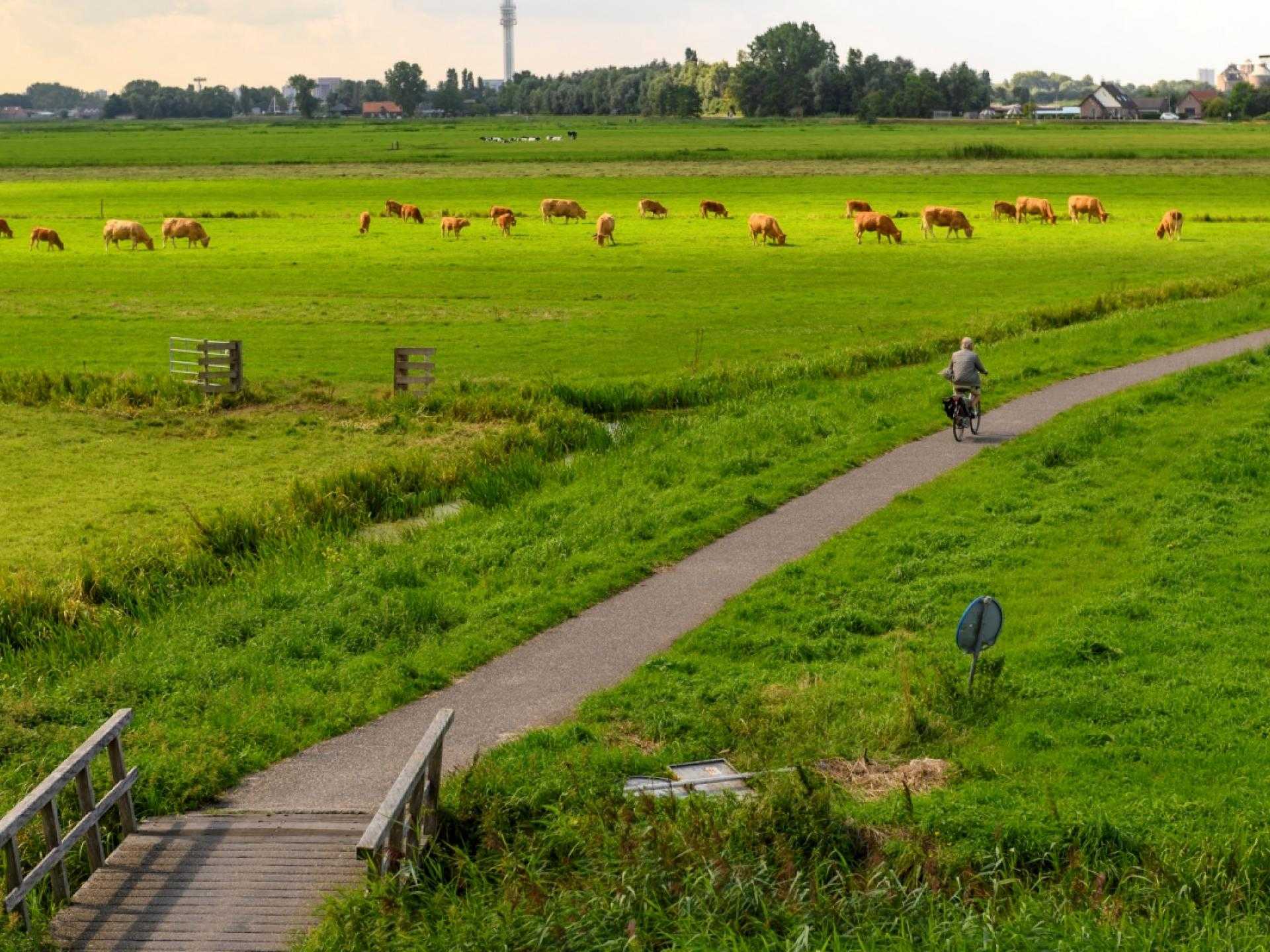 Spaarndam: pittoresk dorp aan het Spaarne